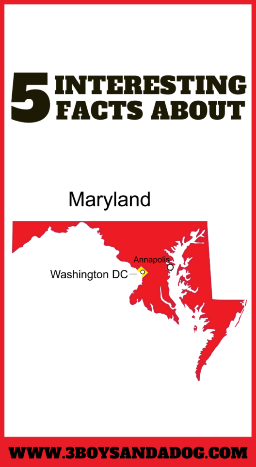 Interesting Facts about Maryland - 3 Boys and a Dog