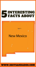 Interesting Facts about New Mexico - 3 Boys and a Dog