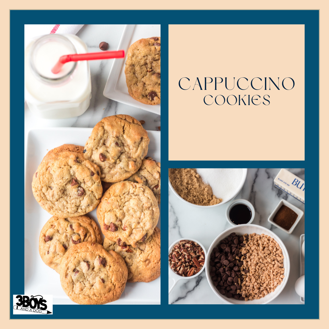 Cappuccino Cookies Recipe - 3 Boys and a Dog