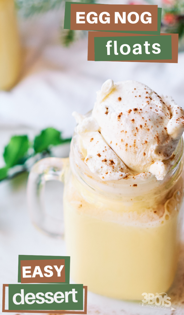 Delicious Egg Nog Float Recipe - 3 Boys and a Dog