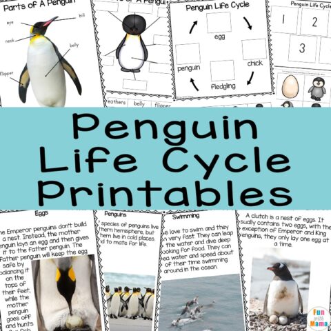 Over 20 Penguin Activities for Preschool - 3 Boys and a Dog