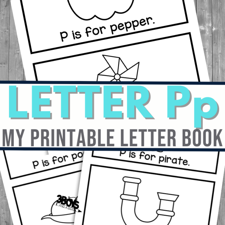 Letter Hunt Worksheets - 3 Boys and a Dog