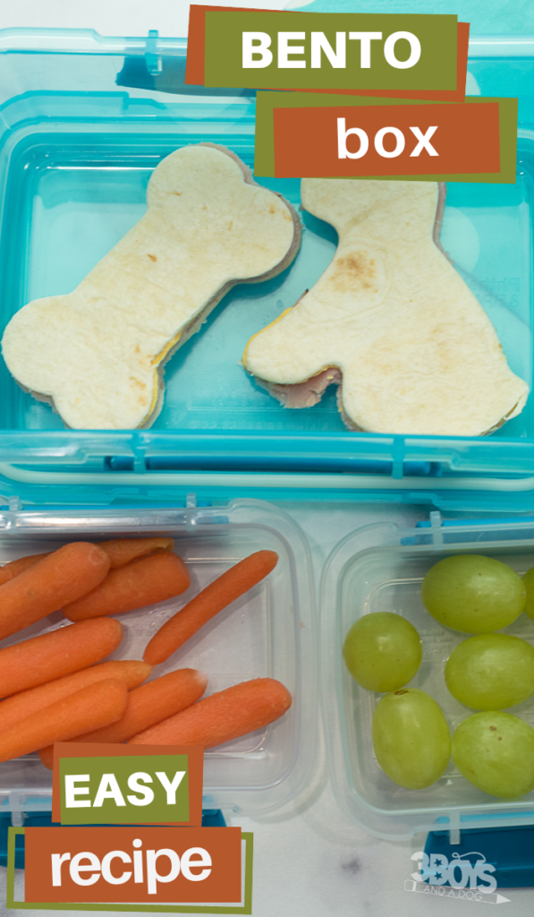 Doggie Bento Box for Lunch - 3 Boys and a Dog