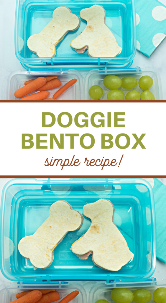 Doggie Bento Box for Lunch - 3 Boys and a Dog