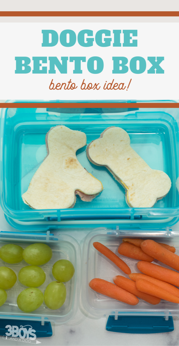Doggie Bento Box for Lunch - 3 Boys and a Dog