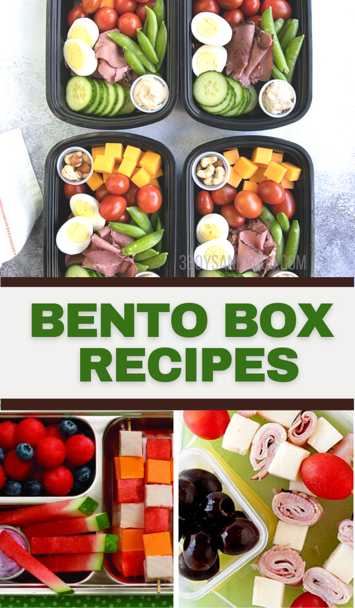 10+ Healthy Bento Box Recipes - 3 Boys and a Dog