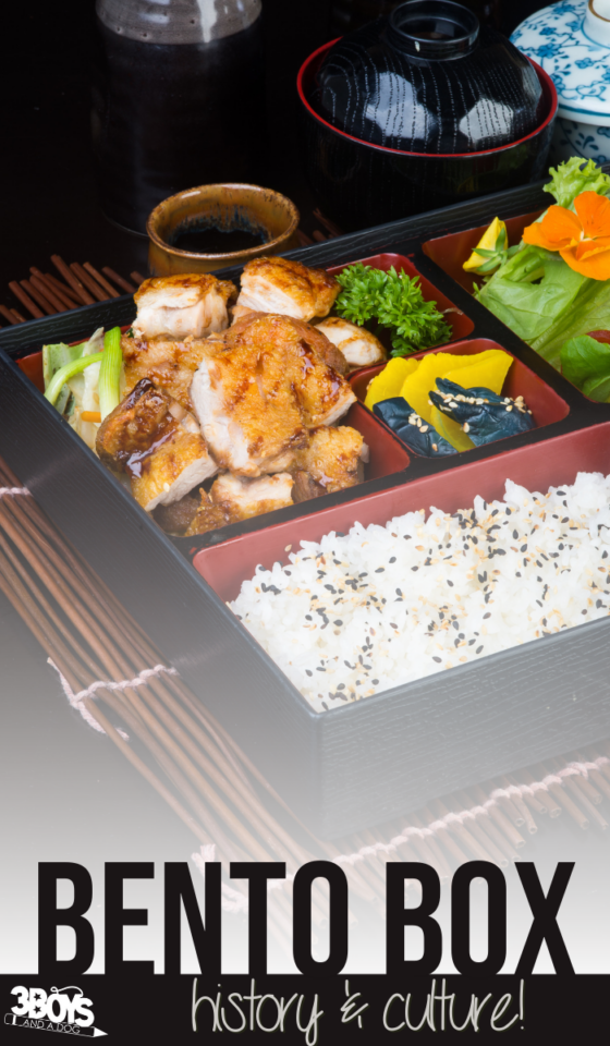 The History and Culture of Bento Boxes - 3 Boys and a Dog