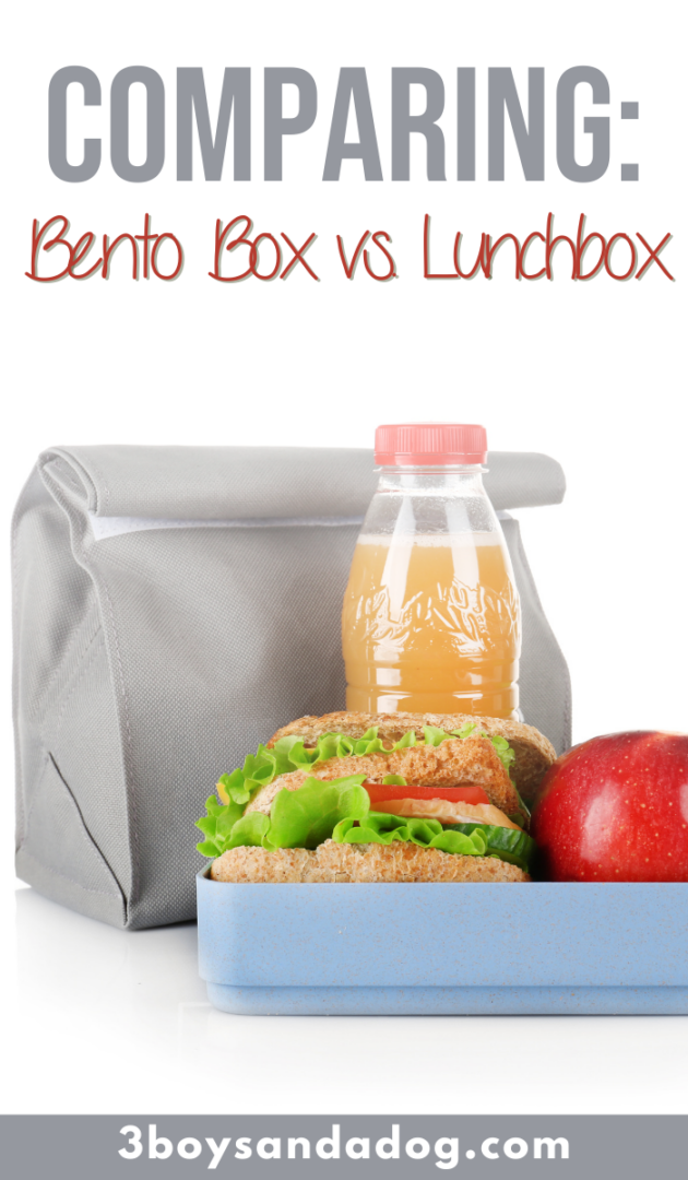 Bento Box vs. Regular Lunch Box - 3 Boys and a Dog