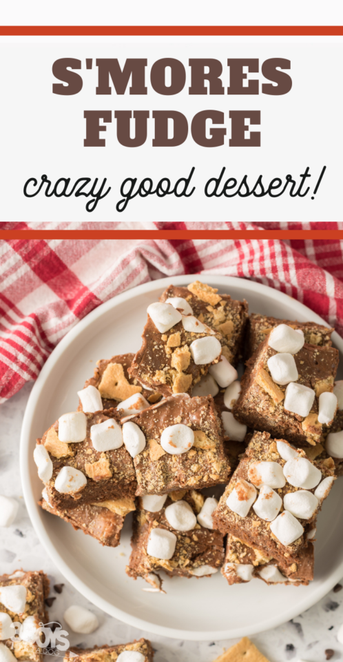 Homemade Smores Fudge Recipe - 3 Boys and a Dog