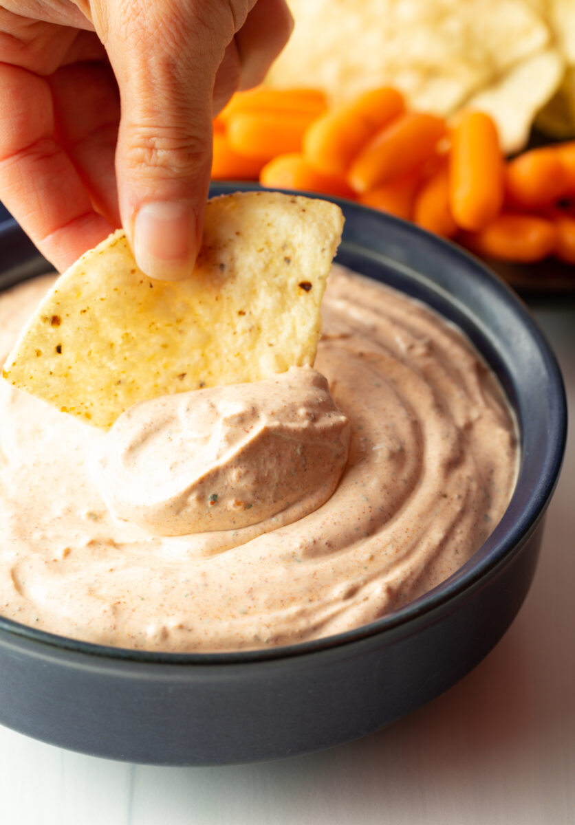 25+ Sour Cream Dip Recipes - 3 Boys and a Dog