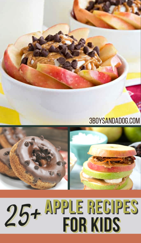20+ Easy Apple Recipes for Kids - 3 Boys and a Dog