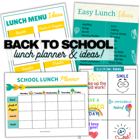 Seasonal Produce Guide (with Lists & Recipes to Use Them!)
