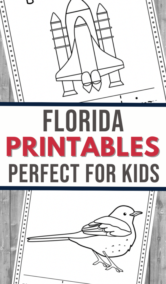 Florida Coloring and Writing Book - 3 Boys and a Dog