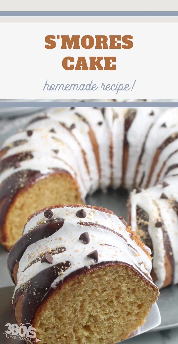 S'mores Cake Recipe - 3 Boys and a Dog