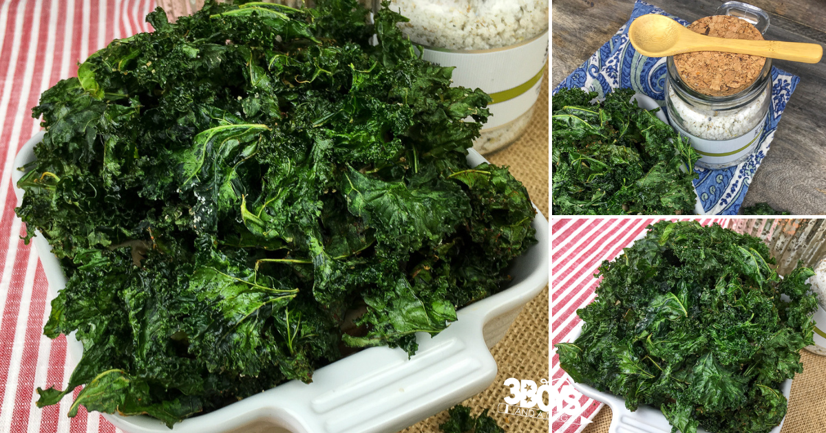 Crispy Seasoned Kale Chips Recipe - 3 Boys and a Dog