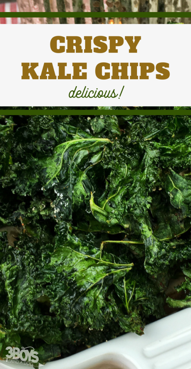 Crispy Seasoned Kale Chips Recipe - 3 Boys and a Dog