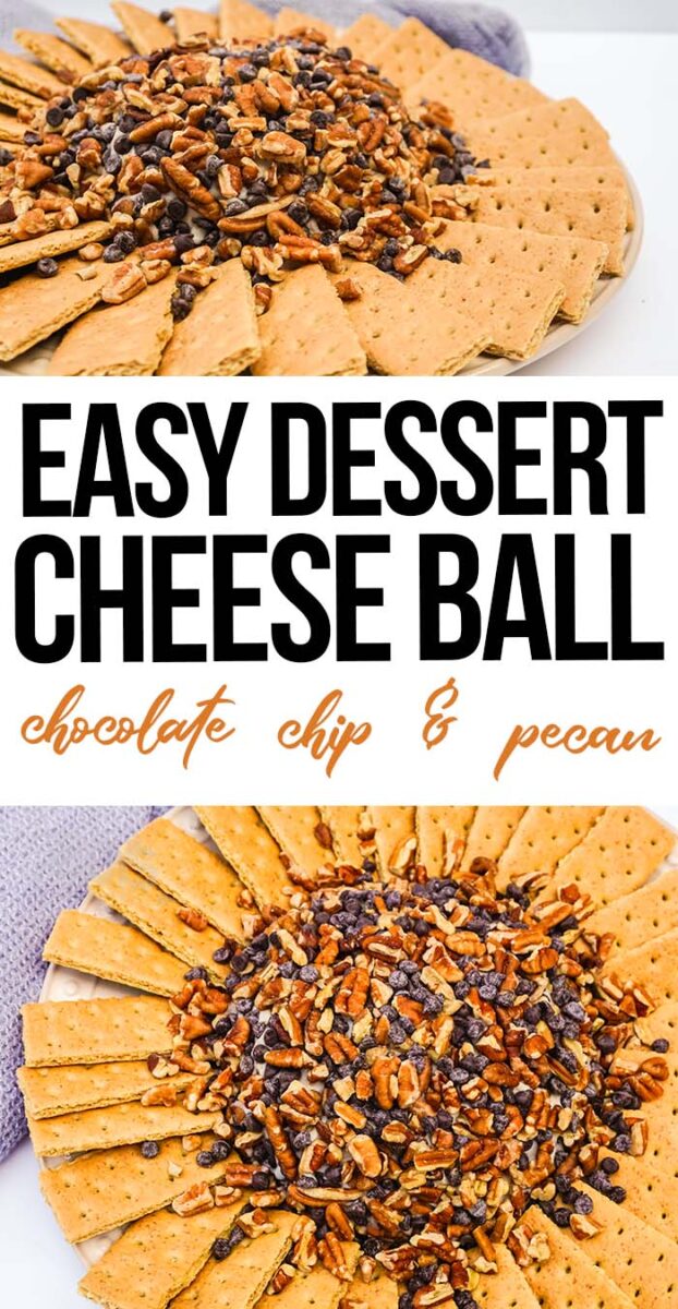 Easy Dessert Cheeseball - 3 Boys and a Dog