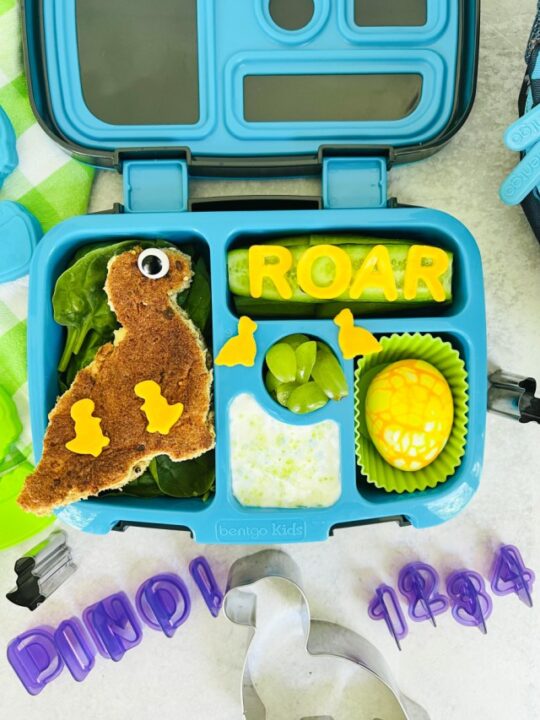 20+ Dinosaur Lunch Ideas - 3 Boys and a Dog