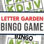 Letter Garden Game - 3 Boys and a Dog