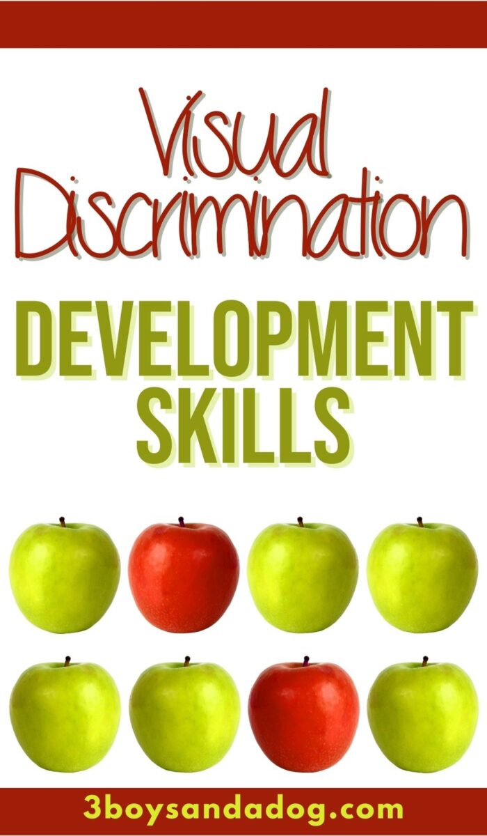 Helping Children Develop Visual Discrimination Skills - 3 Boys and a Dog