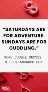 Heartwarming Cuddles Quotes for Every Occasion