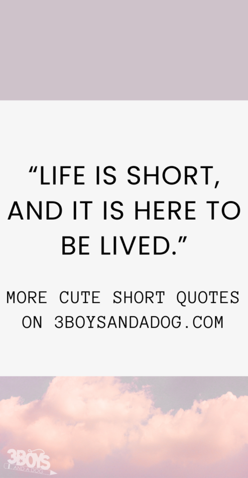 Uplifting Cute Short Quotes – Inspiration & Motivation