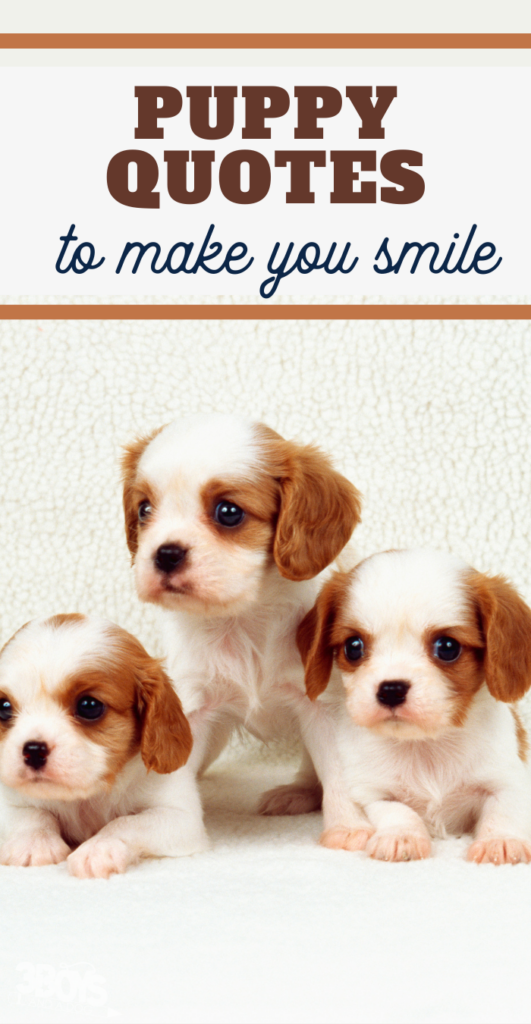 50+ Adorable Puppy Quotes to Brighten Your Day