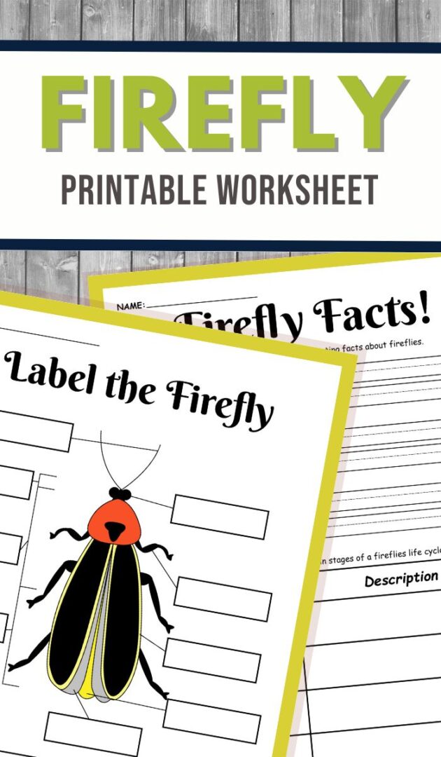 Firefly Activity Set Worksheets - 3 Boys and a Dog