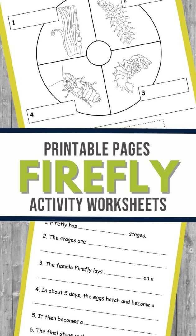Firefly Activity Set Worksheets - 3 Boys and a Dog