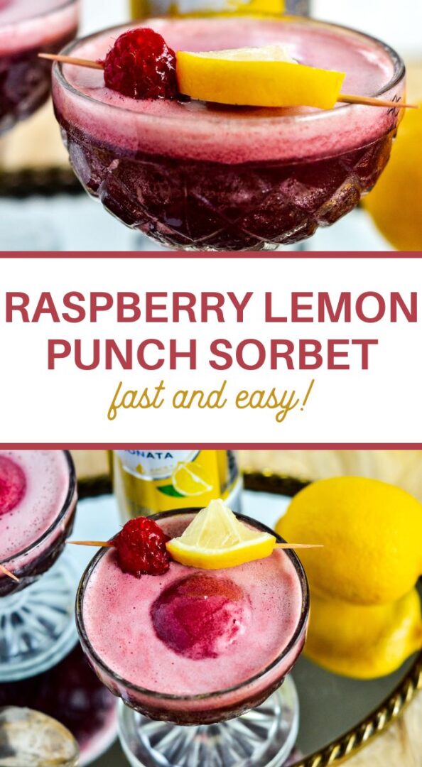 Raspberry Lemon Punch Sorbet Recipe - 3 Boys and a Dog