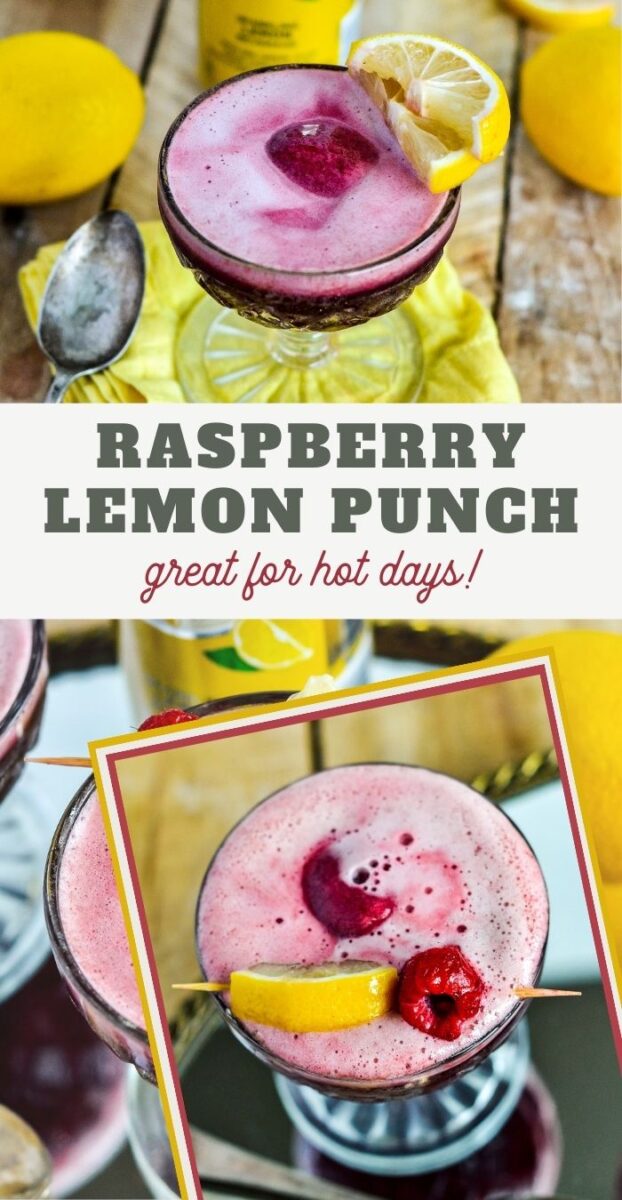Raspberry Lemon Punch Sorbet Recipe - 3 Boys and a Dog