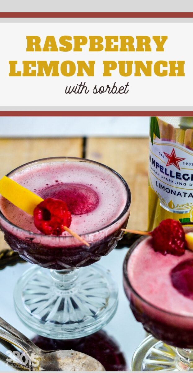 Raspberry Lemon Punch Sorbet Recipe - 3 Boys and a Dog