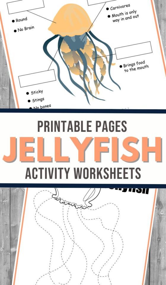Jellyfish Activity Set - 3 Boys and a Dog