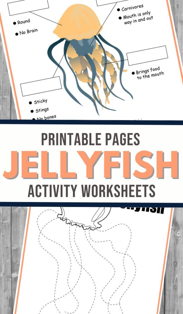 Jellyfish Activity Set - 3 Boys and a Dog