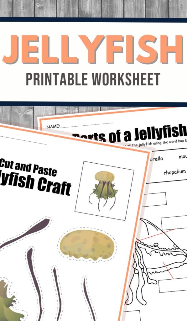 Jellyfish Activity Set - 3 Boys and a Dog