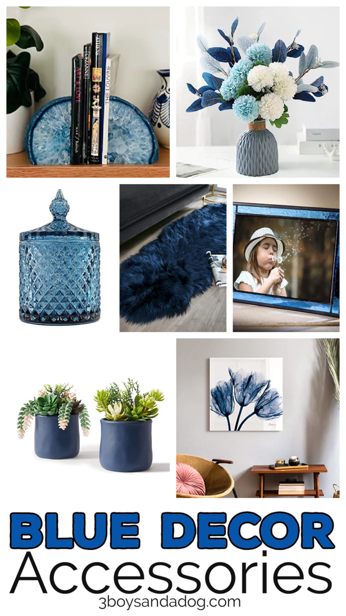 15 Blue Decor Accessories - 3 Boys and a Dog