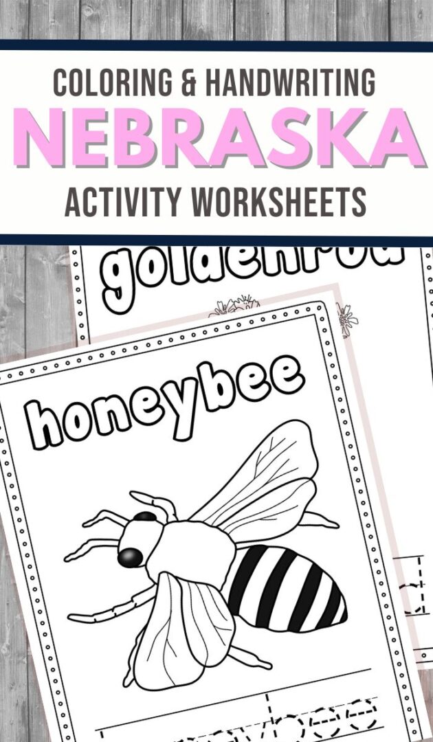Nebraska Coloring and Handwriting Worksheets - 3 Boys and a Dog