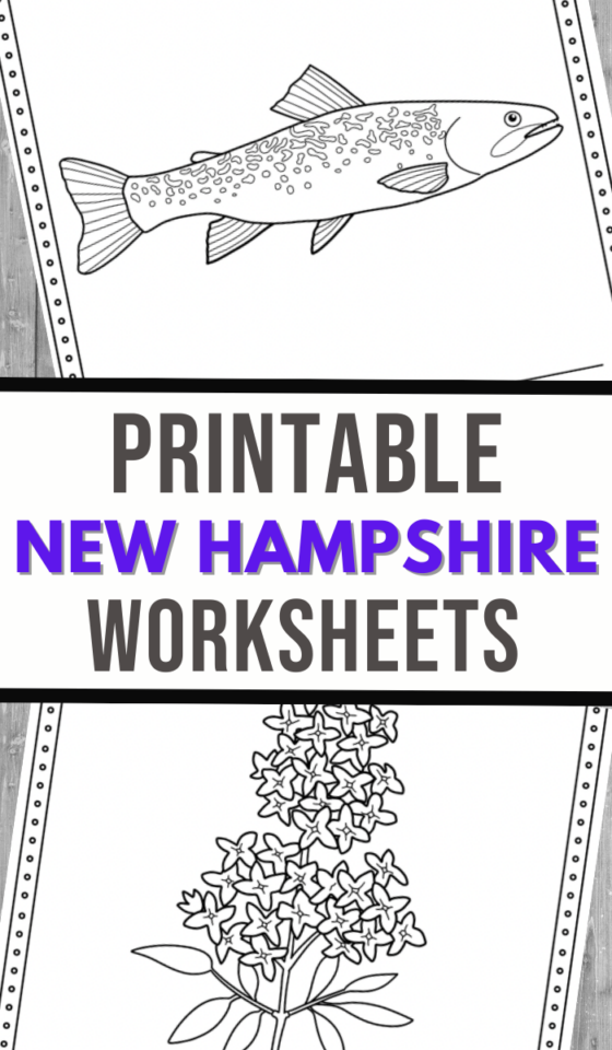 New Hampshire Coloring and Handwriting Worksheets - 3 Boys and a Dog