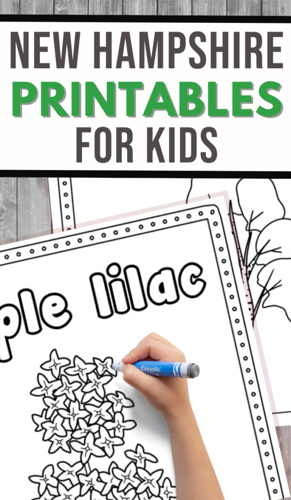 New Hampshire Coloring and Handwriting Worksheets - 3 Boys and a Dog