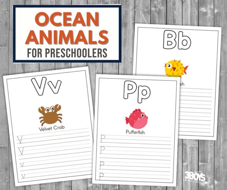 Ocean Animals Alphabet Printable Pack - 3 Boys and a Dog