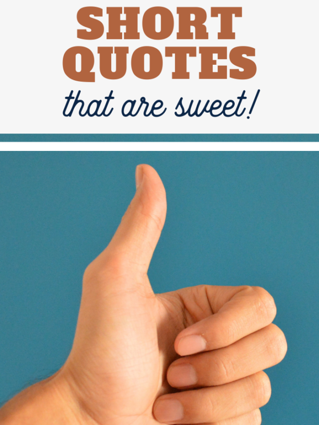 Short And Sweet Quotes 3 Boys And A Dog