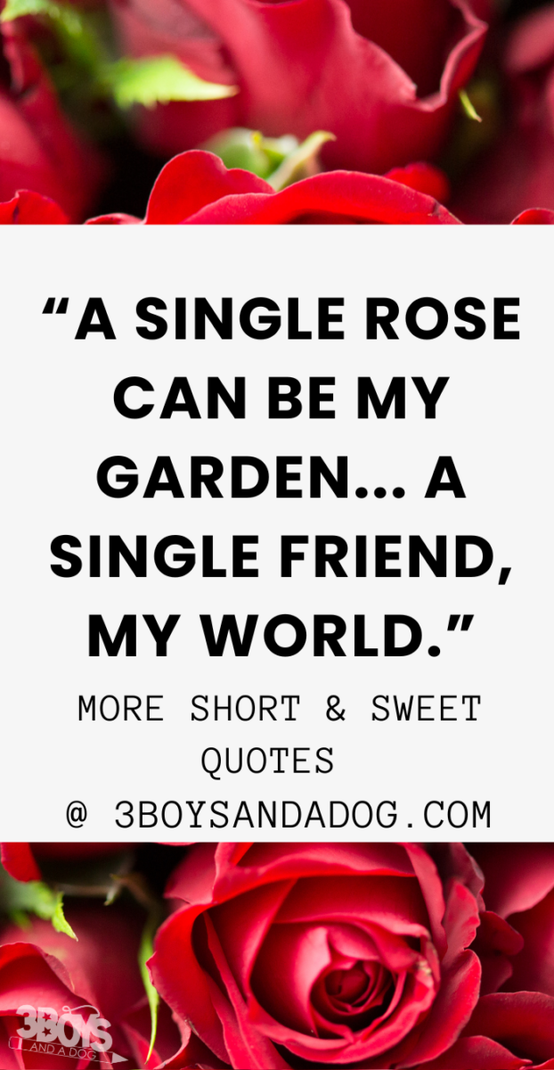 Short and Sweet Quotes