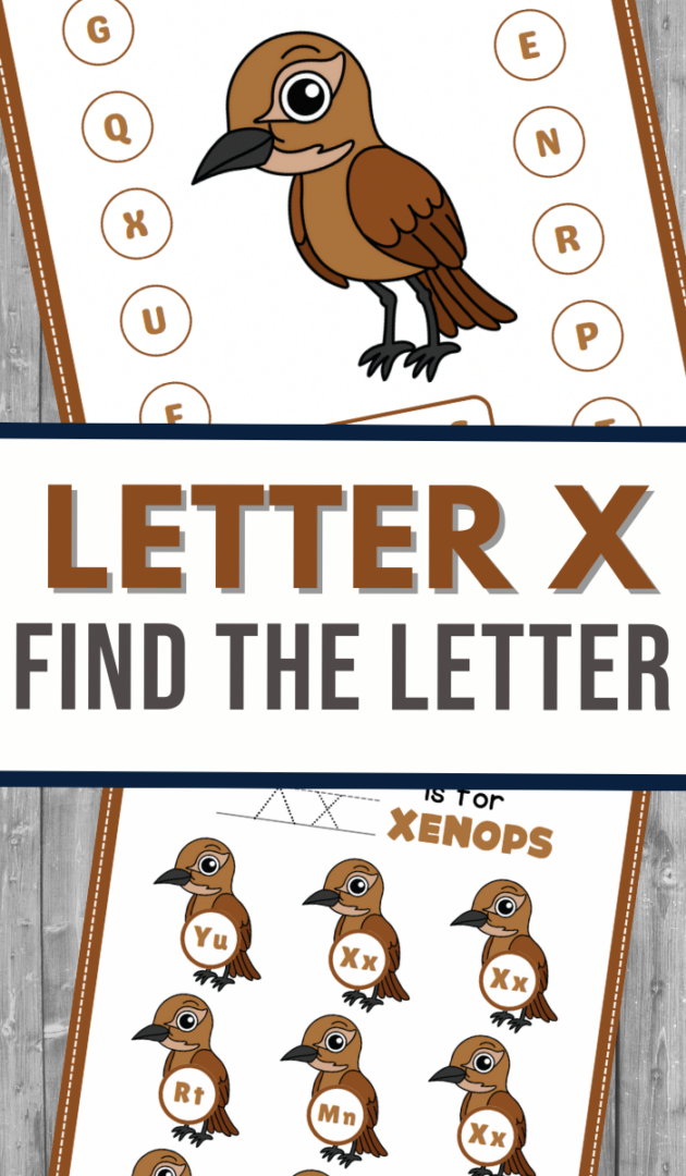 Find the Letter X is for Xenops Worksheet - 3 Boys and a Dog