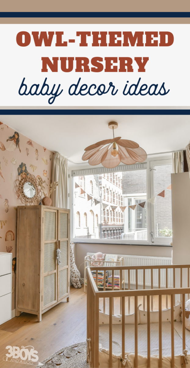 Enchanting Owl Themed Nursery Ideas for Your Little One
