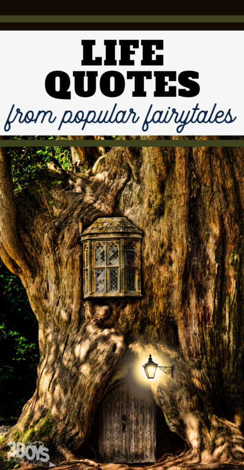 Fairytale Quotes About Life - 3 Boys and a Dog