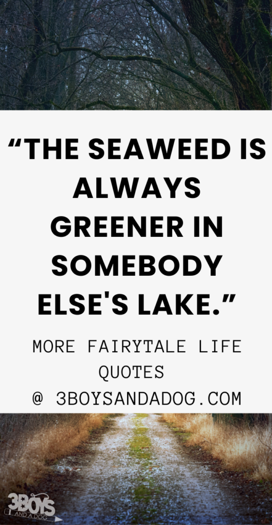 Fairytale Quotes About Life - 3 Boys and a Dog