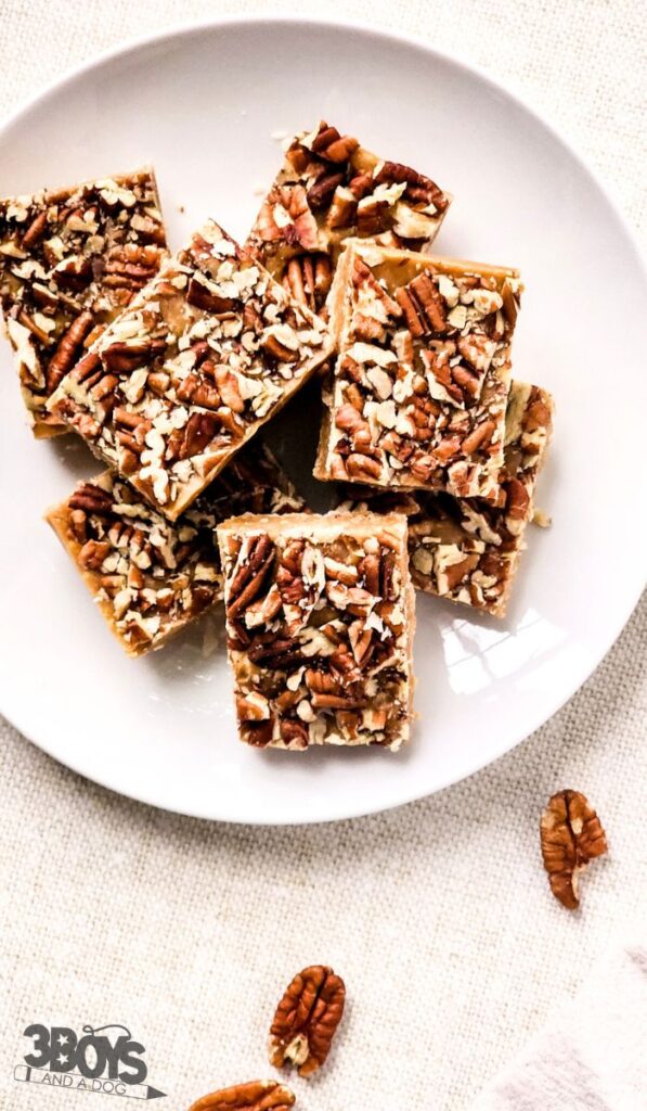 Maple Pecan Fudge Recipe - 3 Boys and a Dog