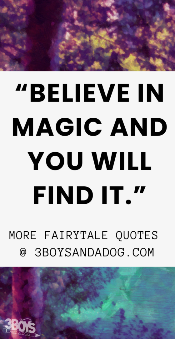 Short Fairy Tale Quotes - 3 Boys and a Dog