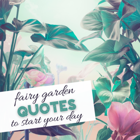Best Fairy Quotes for Captions and More