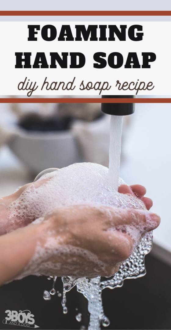 Homemade Foaming Hand Soap Recipe: Easy and Natural DIY Soap - 3 Boys ...